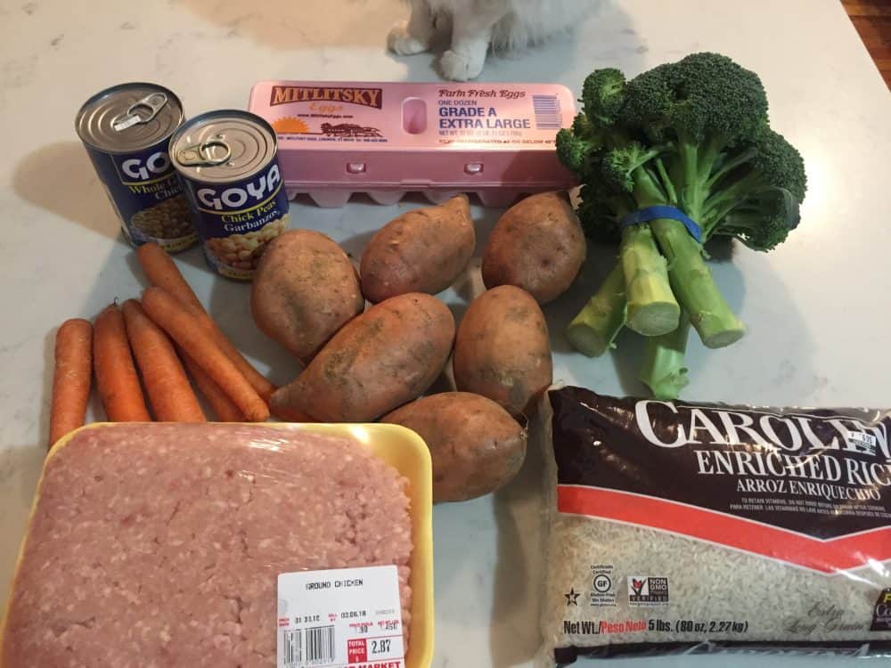 Our Homemade Dog Food Recipe - Boogie the Pug