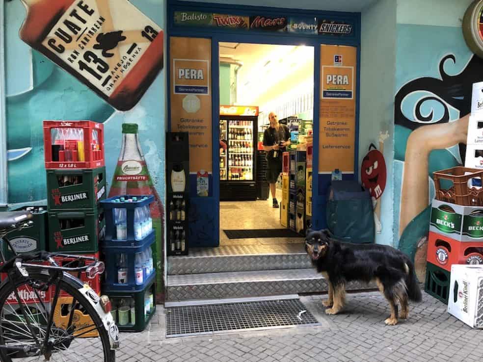25 Photos of Dogs in Berlin - Boogie the Pug