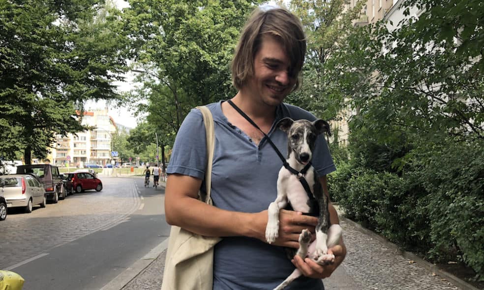 25 Photos of Dogs in Berlin - Boogie the Pug