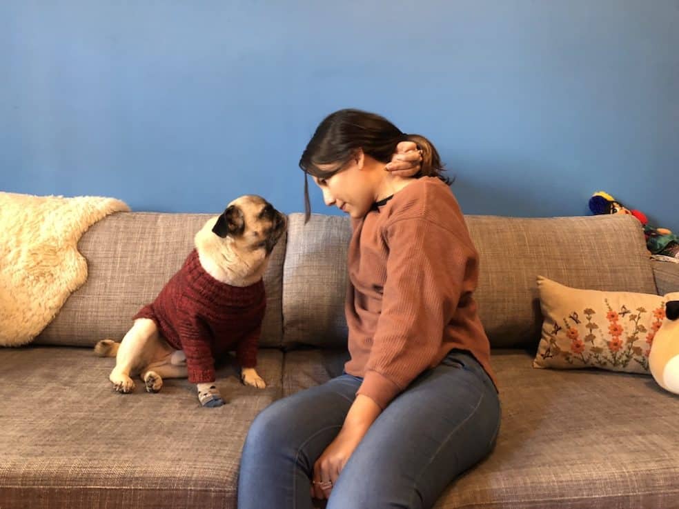 Teach Your Dog How to Hug - Boogie the Pug