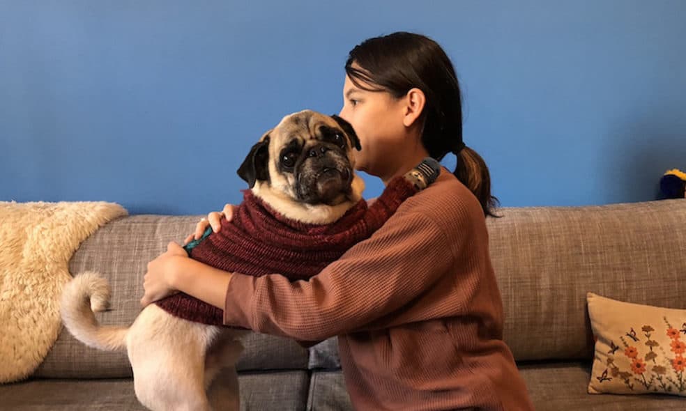 Teach Your Dog How to Hug - Boogie the Pug