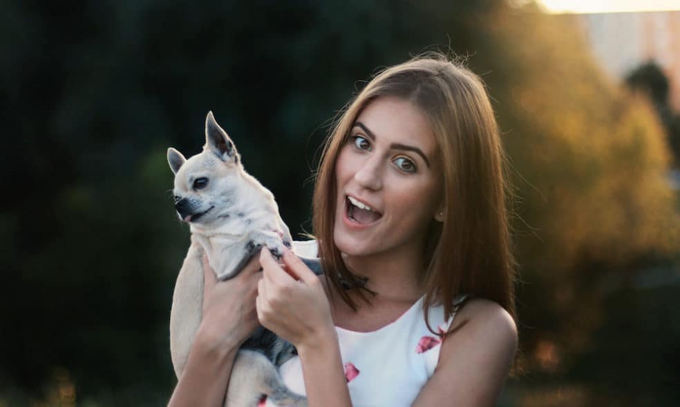 8 Ways to Be a Better Dog Owner - Boogie the Pug
