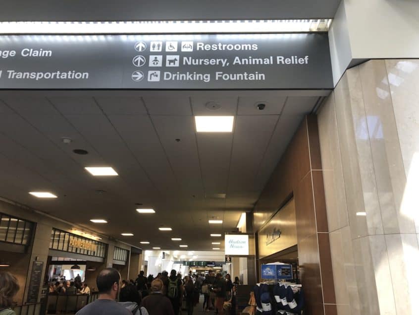 Airport Pet Service Areas Around the World - Boogie the Pug