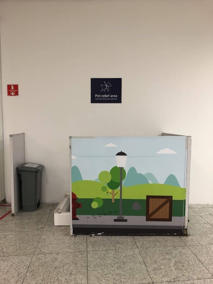 Airport Pet Service Areas Around the World - Boogie the Pug
