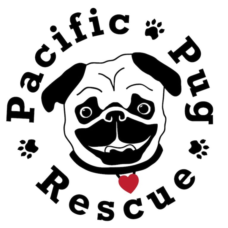A Complete List of Pug Rescues in the USA - Boogie the Pug