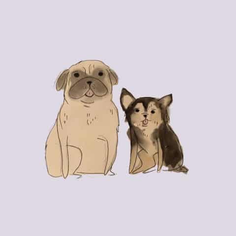 How to Draw a Pug: A Step-by-Step Guide with Artist Andrea Cáceres ...