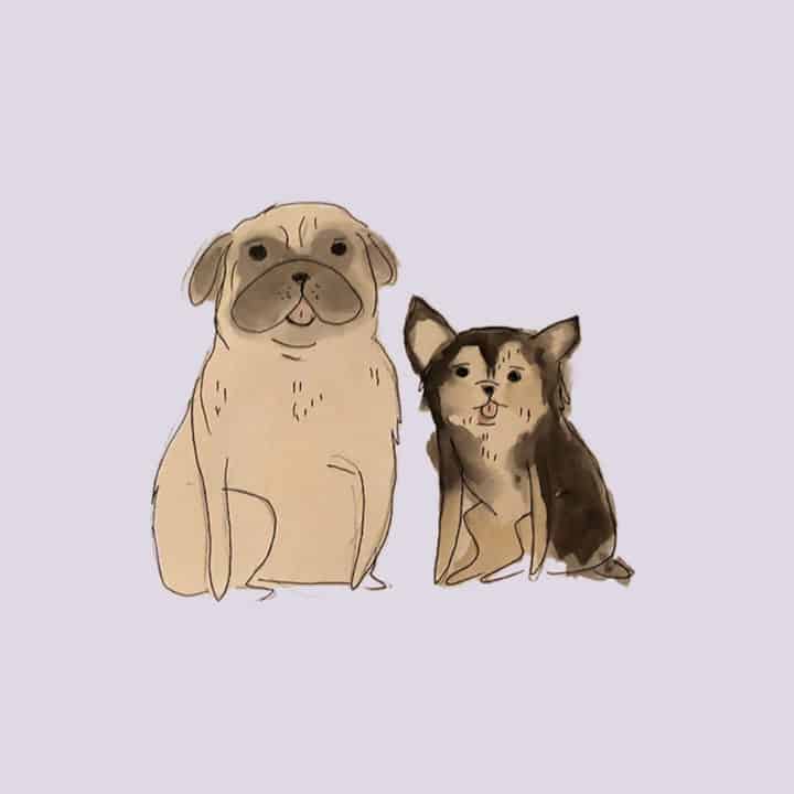 How to Draw a Pug: A Step-by-Step Guide with Artist Andrea Cáceres ...