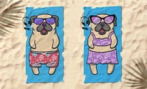 Summer Wish List: Pug Pool Party Edition - Boogie the Pug