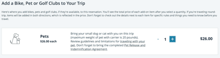 Dogs On Amtrak: How To Ride The Rails - Boogie the Pug