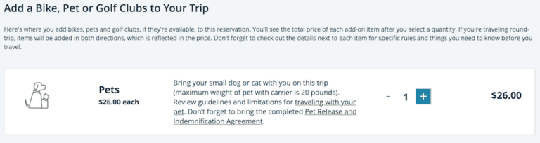 Dogs On Amtrak: How To Ride The Rails - Boogie the Pug