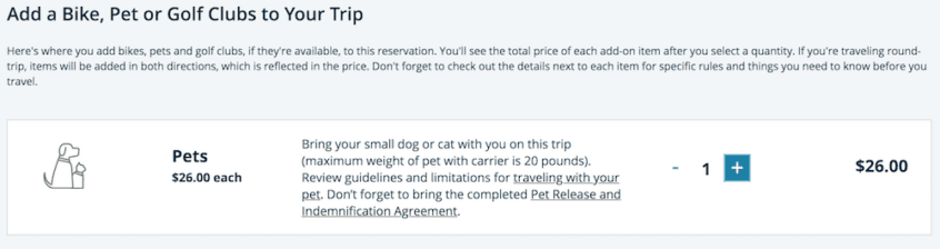 Dogs On Amtrak: How To Ride The Rails - Boogie the Pug
