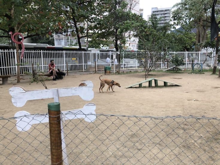 A Complete List Of Dog Parks In Rio de Janeiro - Boogie the Pug