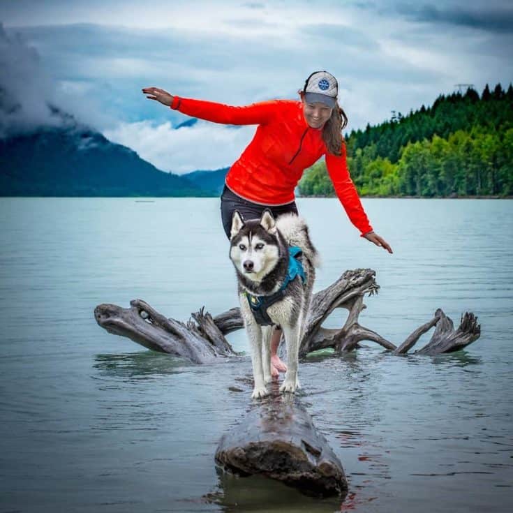 Adventures With a Husky: An Interview with Pet Ventures - Boogie the Pug