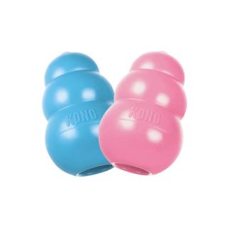 Stuffing a Kong: Over 100 Kong Fillers (plus, 10 Easy Recipes) - Boogie ...