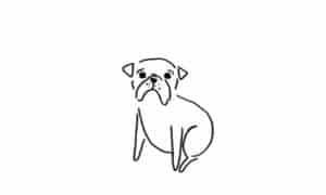 How to Draw a Pug: A Step-by-Step Guide with Artist Andrea Cáceres ...