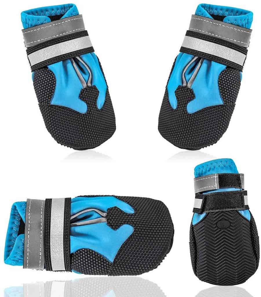 The Best Dog Boots (that stay on!) on the Market - Boogie the Pug